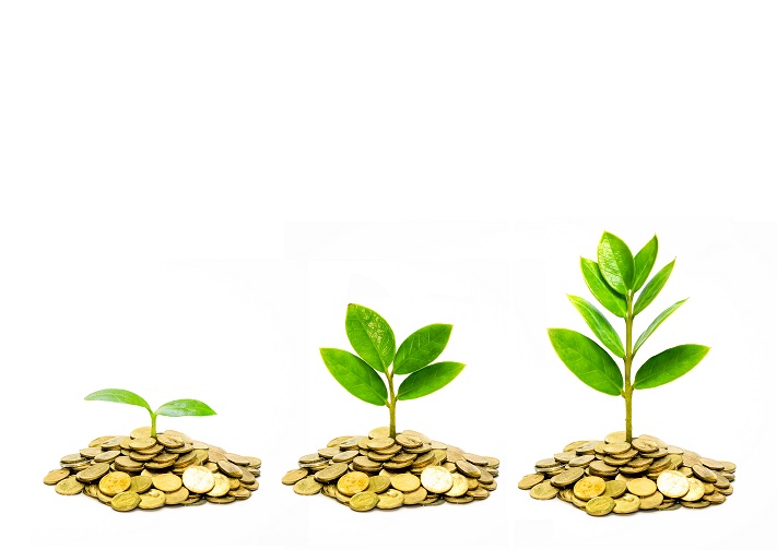 Business Managers and Owners should Look for Profitable Growth - Become ...